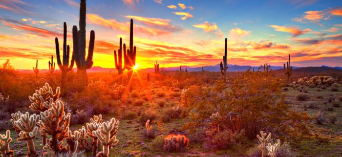 Arizona Workers Compensation Claim Forms & Resources | EMPLOYERS